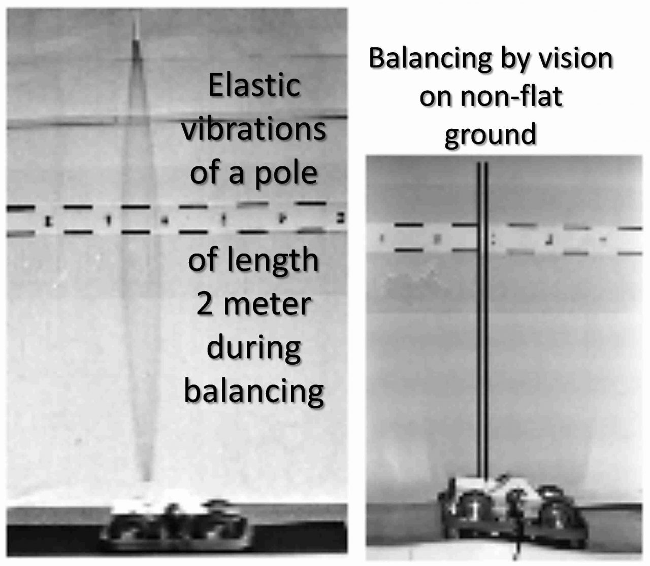 A.1 Pole balancing | dyna-vision